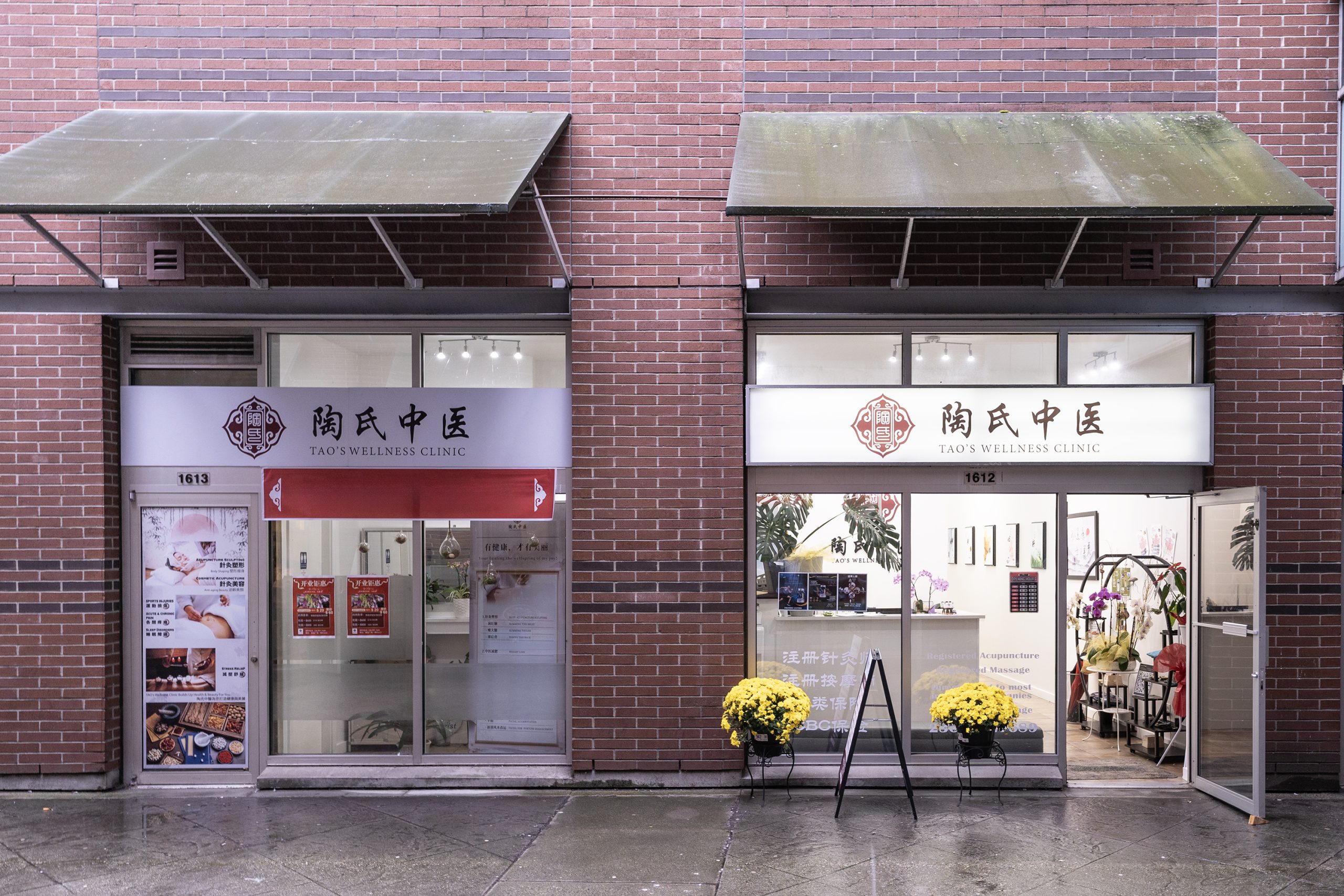 Home - Tao Wellness Clinic